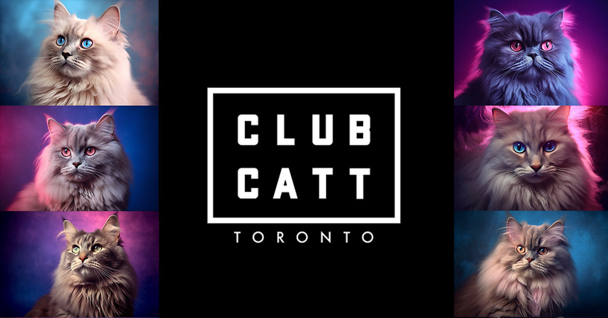 Account – CLUBCATT